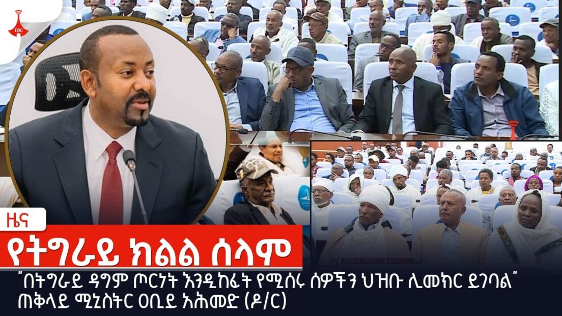 Arrest of Tigrayans in Addis Ababa Amidst Rising Fear of New War ...